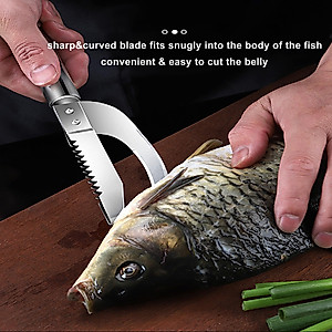 UGpine Stainless Steel Fish Maw Knife, 3 In 1 Fish Maw Knife, Multifunction Fish Scale Knife, Fish Scale Remover, Household Kitchen Fish Scale Tool
