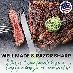 Alfi All-Purpose Knives Aerospace Precision Pointed Tip - Home And Kitchen Supplies - Serrated Steak Knives Set | Made in USA (Sage)