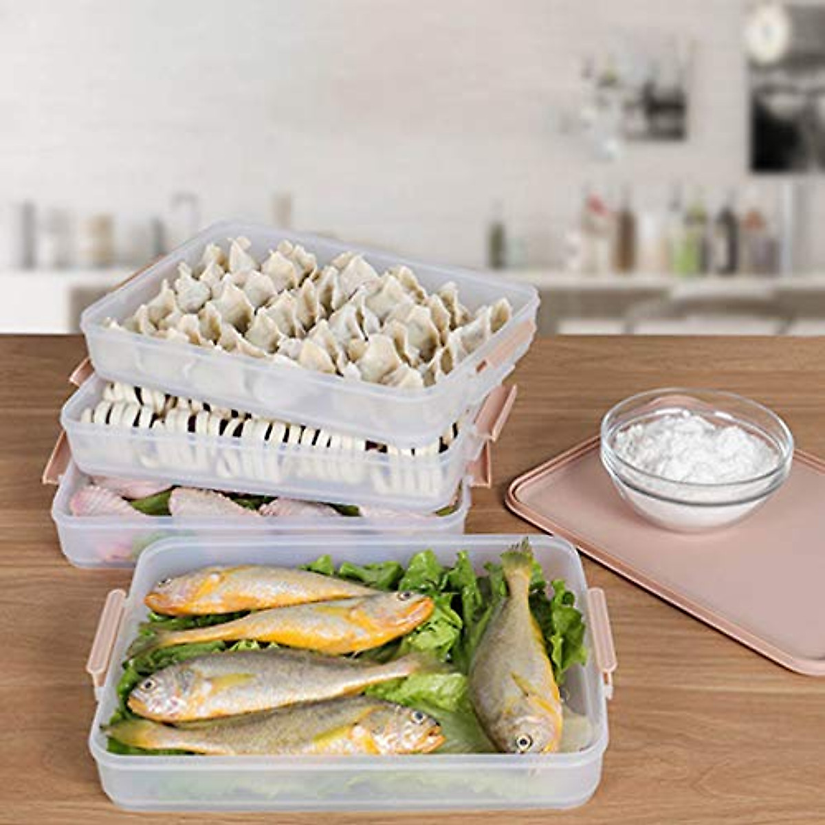 HEMOTON Plastic Food Storage Containers Dumpling Box Food Freezer Box Keep Fruits Vegetables Meat And More Kitche Fridge Freezer (Meat meal)