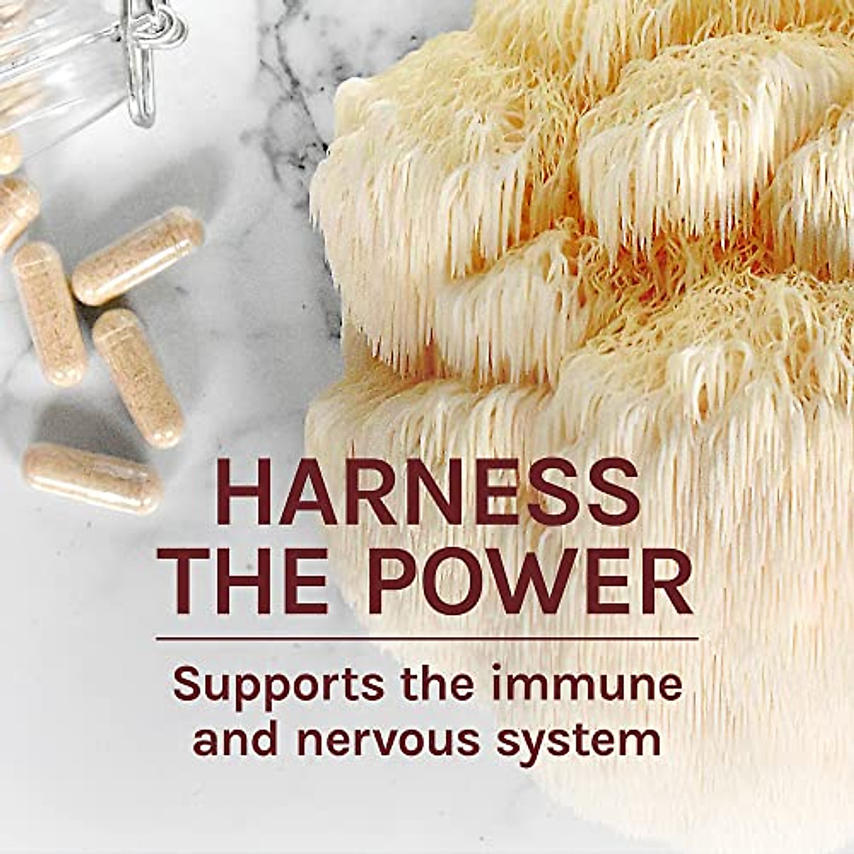 Host Defense, Lion's Mane Capsules, Promotes Mental Clarity, Focus and Memory, Mushroom Supplement, 60 Count