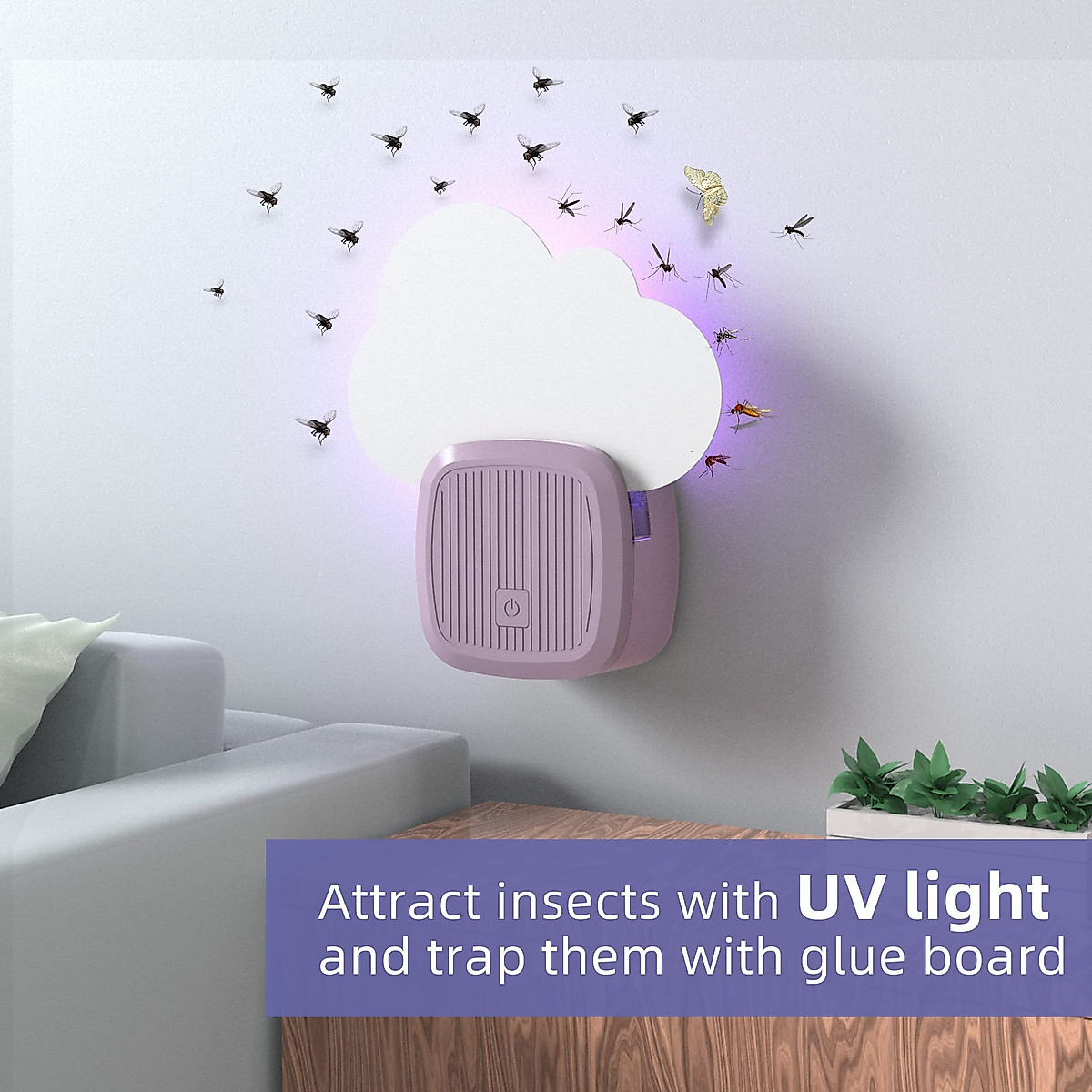 Careland Plug in Fly Traps for Indoors Electric Flying Insect Trap Gnat Killer for Home - Catch Fruit Flies, Mosquitoes, Gnats, Moths & Other Insects with UV Light and Sticky Board (Purple 2pack)