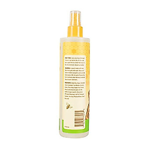 Burt's Bees for Pets Natural Deodorizing Spray for Dogs | Best Dog Spray for Smelly Dogs | Made with Apple & Rosemary | Cruelty Free, Sulfate & Paraben Free, pH Balanced for Dogs - Made in USA, 10 oz