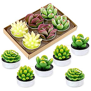 Swpeet 12Pcs Decorative Succulent Cactus Tealight Candles Kit, Cute Smokeless Succulent Plants Perfect for Candles Festival Wedding Props and House-Warming Party (N0.8-Candle)