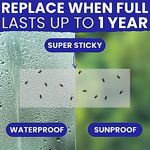 Window Fly Traps Indoor Clear 15pk Strips Indoor. The Only Double Strip Trap for Home. Paper Catchers Inside Home Flypaper House Killer Bug Catcher