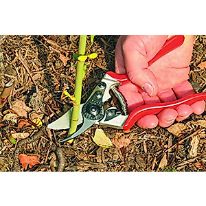 Felco Pruning Shears (F 6) - High Performance Swiss Made One-Hand Garden Pruners - 100052385
