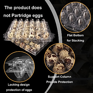 100 Pack Quail Egg Cartons, Clear Plastic Quail Egg Trays, Holds up to 30 Quail Eggs Securely - Your Ultimate Small Eggs Carton Holders for Bulk Storage and Display by KUKLIPJIM