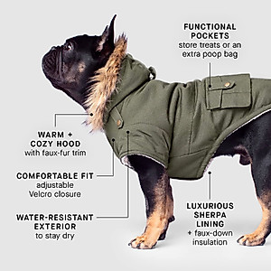 Canada Pooch Winter Dog Coat Water-Resistant Insulated Dog Jacket Faux-Fur Trim Dog Parka Coat for Dogs - Army Green, Size 14