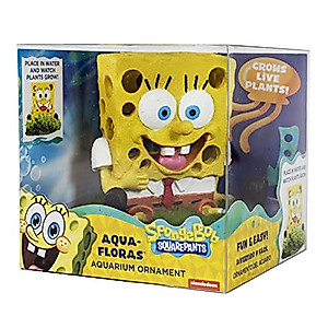 Penn-Plax Spongebob Squarepants Aqua-Flora Living Aquarium Decoration with Embedded Glosso Plant Seeds – Spongebob