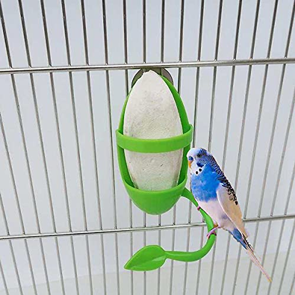Plastic Bird Feeding Holder for Cuttlebone on Cage Parrot Cage Stands Parrots Feeder Perches,3 Pieces