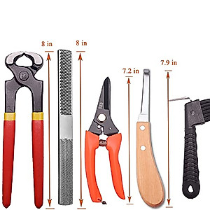 8 inch Farrier Tool Kits （7 Piece） Mini Rasp Hoof File Goat Pig Equine Metal Shears Professional Farriers Hoof Nipper Cutter Handle Knife