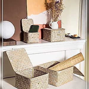 HAPYFURN Shelf Storage Boxes with Lid, Set of 2 Stackable Square Baskets for Shelves, Natural Seagrass Handwoven, Organizer Box of Cosmetics Keys Jewelry Needles Threads