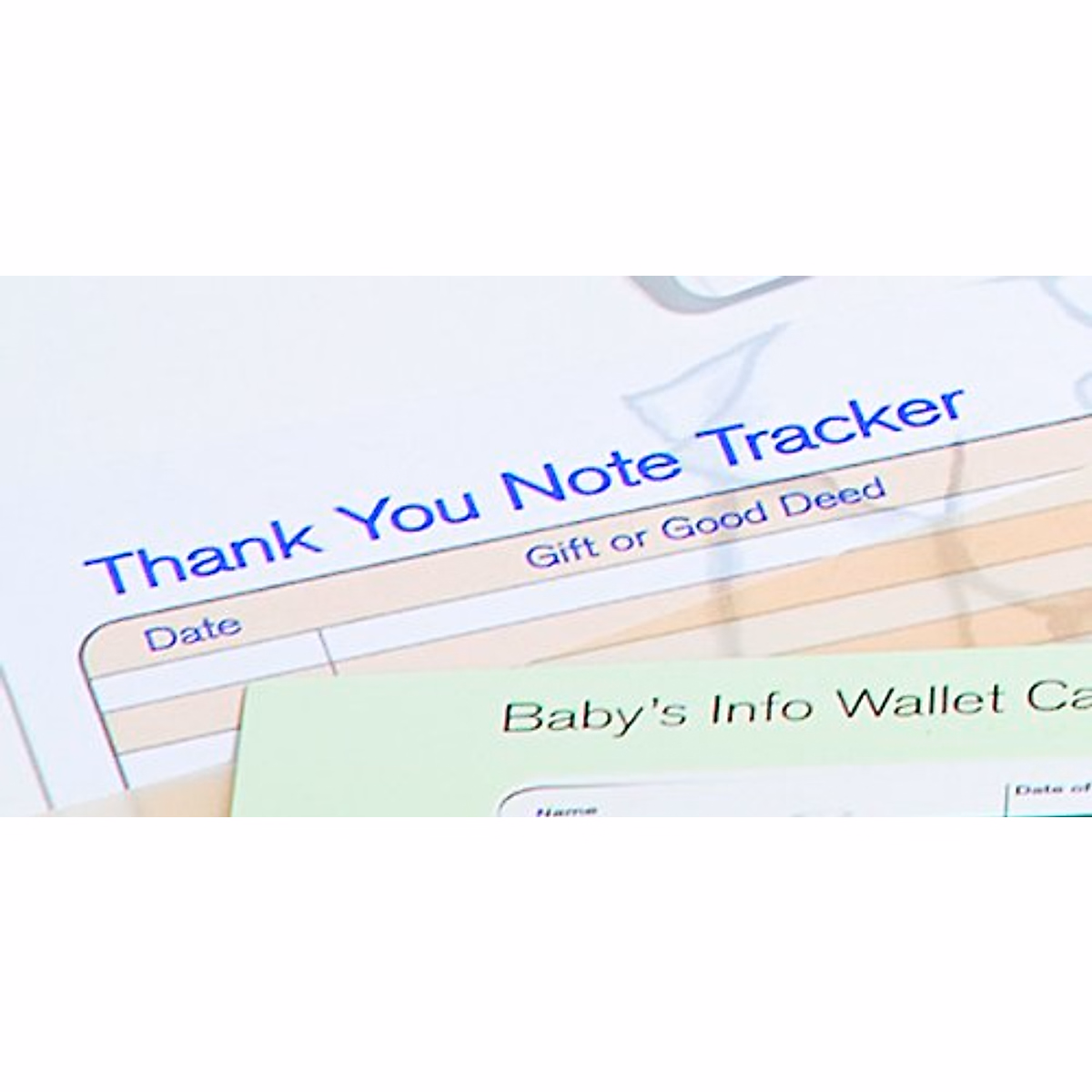 Baby Briefcase Baby Paperwork Organizer, Mint/Periwinkle