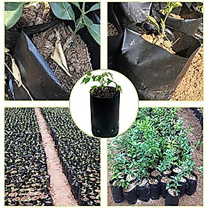 DredQcco 100PACK Plant Grow Bags,Thicken PE Seedling Bag Fruit Tree Seedling Cup Bonsai Planting Bag with Breathable Holes for Garden Black Planting Bags Nursery Bags (5.9'' Dia x 10'' H)