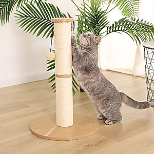 Amazon Basics Cat Scratching Post, Beige