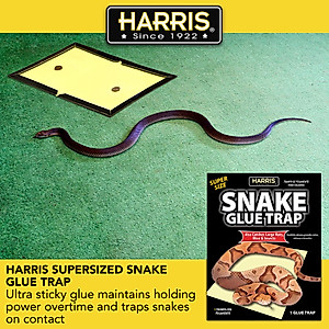 Harris Snake Glue Trap, Super Sized for Snakes, Rats, Mice and Insects (1-Pack)