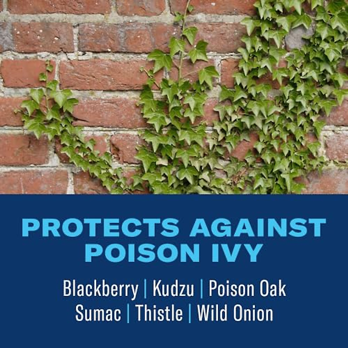 BioAdvanced Brush Killer Plus, Ready-to-Use, 1 Gal – Kills Tough Brush Roots & All, Kills Poison Ivy