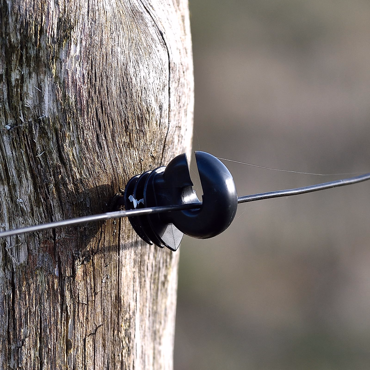 PATIKIL Electric Fence Insulator Screw-in Ring Insulator Wood Post Insulator for Farm Fencing Power Grid System