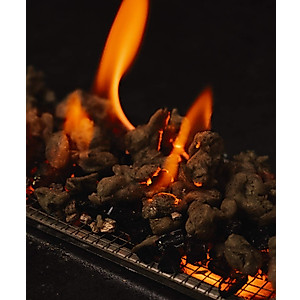 GASPRO Gas Fireplace Embers, 10 Oz. Glowing Embers for Gas Fireplace - Ventless, Insert, Vented, Propane, Natural Gas, Realistic