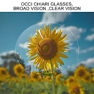 OCCI CHIARI 1.5 Reading Glasses Women Oversized Durable Reader 150(1.0 1.25 1.5 1.75 2.0 2.25 2.5 2.75 3.0 3.5 4.0) Large Frame