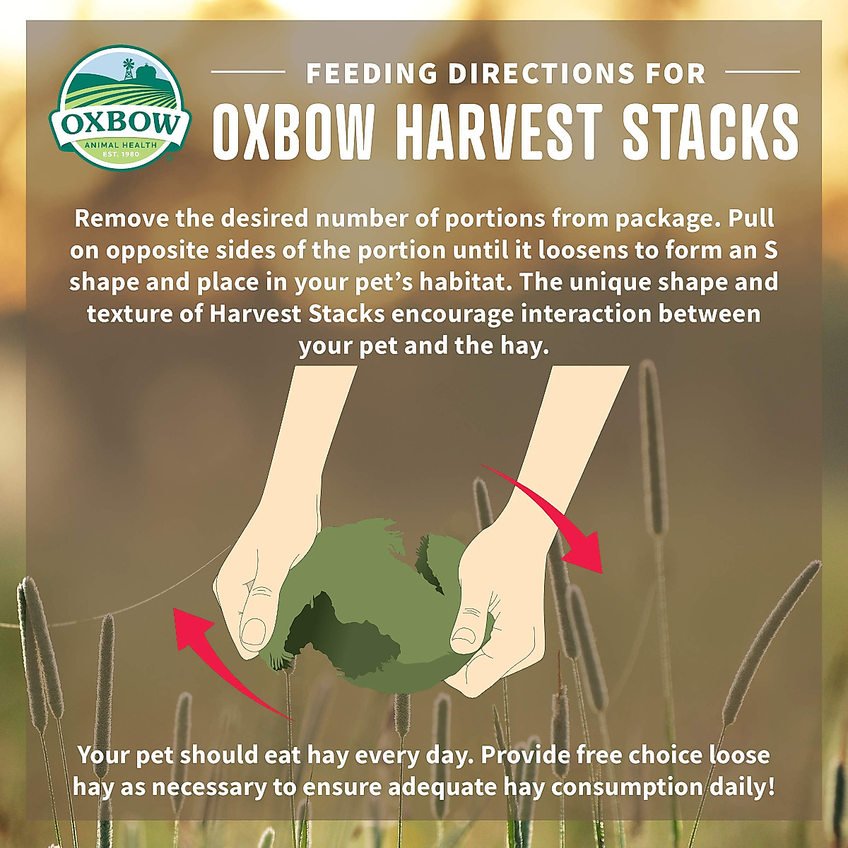 Oxbow Animal Health Harvest Hay Stacks - Western Timothy Hay with Carrots - All Natural Hay for Rabbits, Guinea Pigs, Chinchillas, Hamsters & Gerbils - 35 oz.