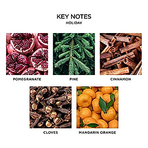 NEST New York Scented Classic Candle, Holiday - 8.1 oz - Up to 60-Hour Burn Time - Reusable Glass Vessel