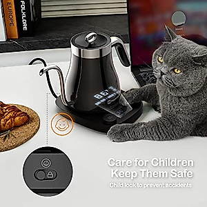 Maestri House 8-In-1 Gooseneck Electric Kettle with ±1°F Temperature Control, 90° Steady Water Flow, 1200W Quick Heating, Keep Warm, LCD Display, Child Lock, Timer, Strix Thermostat 0.95L (Black)