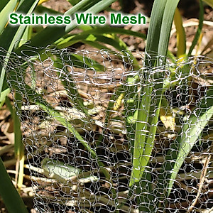 GIFTEXPRESS 4pc 5 Gallon Gopher and Vole Wire Baskets, Gopher Wire Mesh Plant Root Protector Gopher Baskets for Gopher Repellent to Prevent Underground Burrowing Animals and Critter Damages