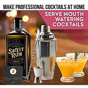 24oz Cocktail Shaker Set Bartender Kit with 2 Stemless Martini Glasses - The Perfect Mixology Home Bar Set Gift - Large Drink Mixer and Bar Accessories: Jigger, Bar Spoon and Martini Glasses - Cresimo
