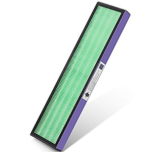 isinlive 2 Pack FLT5000 True HEPA Filter C Replacement with Pet Pure Treatment, and 8 Pack Activated Carbon Pre-Filters for Ger Guardian Air Purifier FLT5111 AC5000 AC5000E AC5250PT AC5350B AC5350BCA