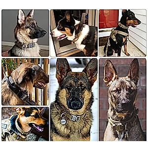 Tactical Dog Collar with Silicone Airtag Case, Military Training Nylon Dog Collars with Control Handle and Heavy Duty Metal Buckle, Adjustable for Medium Large Dogs (Green L)