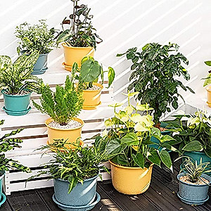 Extra Large Saucer Plastic Plant Pots, Indoor Planter Pots, Durable Thickened Flower Pot with Drainage Hole with Herb Tray Cactus Flowers Bonsai Birthday Wedding Gift,Green,Extra Large