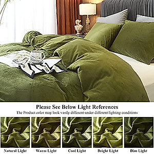 Ivellow Velvet Duvet Cover Queen Set Sage Green Velvet Duvet Cover Queen Velvet Comforter Cover 3Pcs Ultra Soft Duvet Cover Breathable Solid Luxury Flannel Velour Duvet Cover Zipper Closure Corner Tie