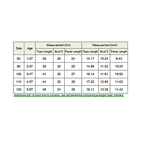 2Pcs/Set Fashion Toddler Kids Baby Girl Boy Summer Outfits Sleeveless Tassel T-Shirt Top+Floral Shorts Clothes Set 6M-5T (Flamingo, 4-5 Years)