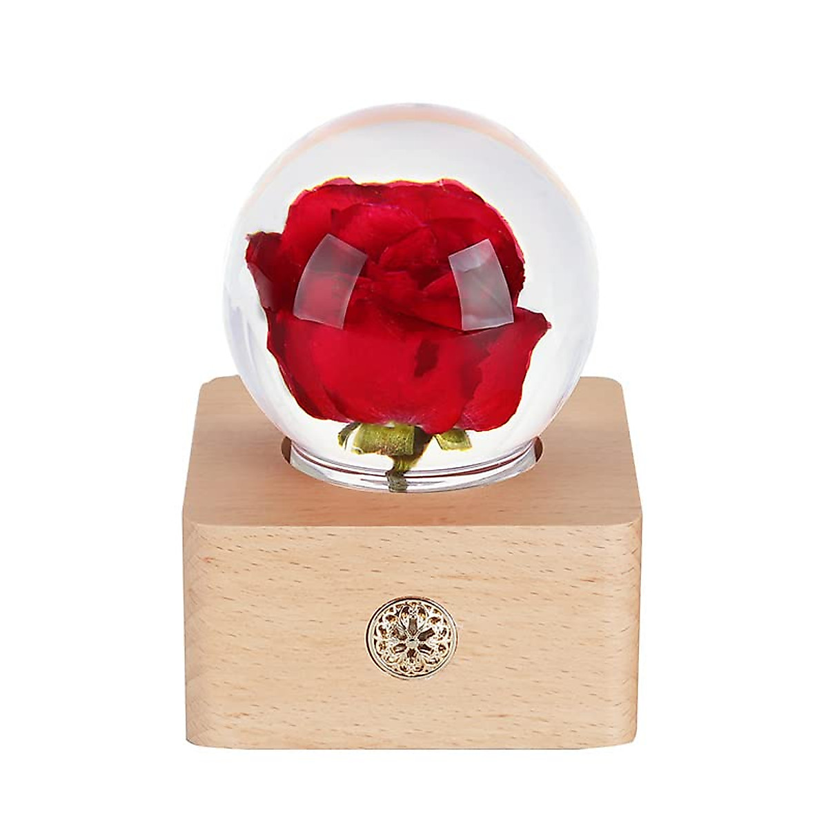 Ellington Gifts Real Preserved Flower Glass Ball Night Light | Dimmable Battery LED, Real Eternal Flowers, Birthday Gifts for Women Mom Girlfriend, Special Anniversary, Valentine's Day (Red Rose)