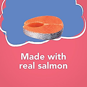 Purina Friskies Wet Cat Food, Shreds With Salmon in Sauce - (24) 5.5 oz. Cans