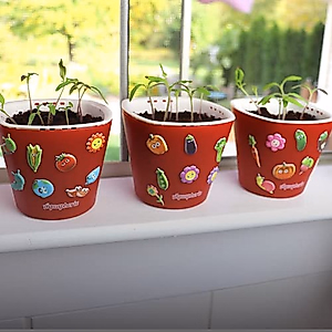 Window Garden Bean Sow Much Fun Seed Starting, Vegetable Planting and Growing Kit for Kids, 3 Self Watering Planters, Soil, Seeds and Puffy Stickers. No Mess, Easy, Works Great!