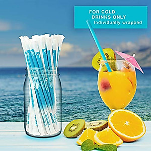 Phade 8.5" Giant Compostable Biodegradable Eco Straws, 300 Count, Individually Wrapped, For Cold Drinks Only
