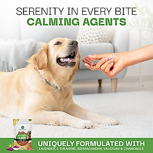 Nautical Nourish Calming Bacon Dog Treats - Help Relief Anxiety, Balance Stress Levels and Overall Mood, Supports Relaxation for Dogs, 30 Count