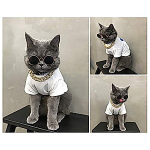 DS. DISTINCTIVE STYLE Retro Round Sunglasses with Golden Plastic Chain for Pet Cats and Small Dogs Cool and Funny Spectacles Pets Photo Props for Taking Pictures