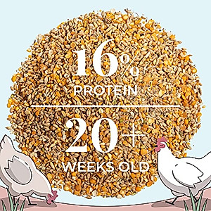 Mile Four | Layer Chicken Feed | Organic, Non-GMO, Corn-Free, Soy-Free, Non-Medicated Chicken Food | Adult Poultry, Roosters, Chickens, Ducks, Geese & Gamebirds | 16% Protein | Whole Grain | 23 lbs.