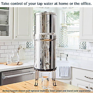 Big Berkey Gravity-Fed Water Filter System 2.25 Gallon with 2 Black Berkey Elements, 2 Berkey PF-2 Fluoride and Arsenic Reduction Elements