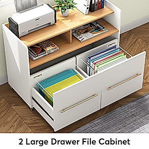 LITTLE TREE 2 Drawer File Cabinet Rolling Filing Cabinets with Wheels, Lateral File Cabinet for Letter Size, Printer Stand and Open Storage Shelves for Home Office, White