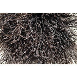 ROYAL DUSTER Black Ostrich Feather Duster (14")