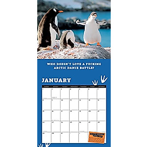 2023 Too F*cking Cute Animals Wall Calendar: A Year of D*mn Adorable Animals (Funny Monthly Calendar & White Elephant Gag Gift for Animal Lovers)