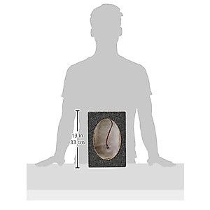 Stinger Select SS69PUG 6X9 Truck Speaker Enclosure,Gray