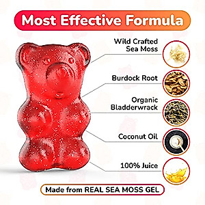 Organic Sea Moss Gummies – Contains Irish Sea Moss + Burdock Root + Bladderwrack – 60 Gummies for Stronger Immune, Healthier Skin & Hair, Detox – Great for Kids & Adults, Made in USA (1)