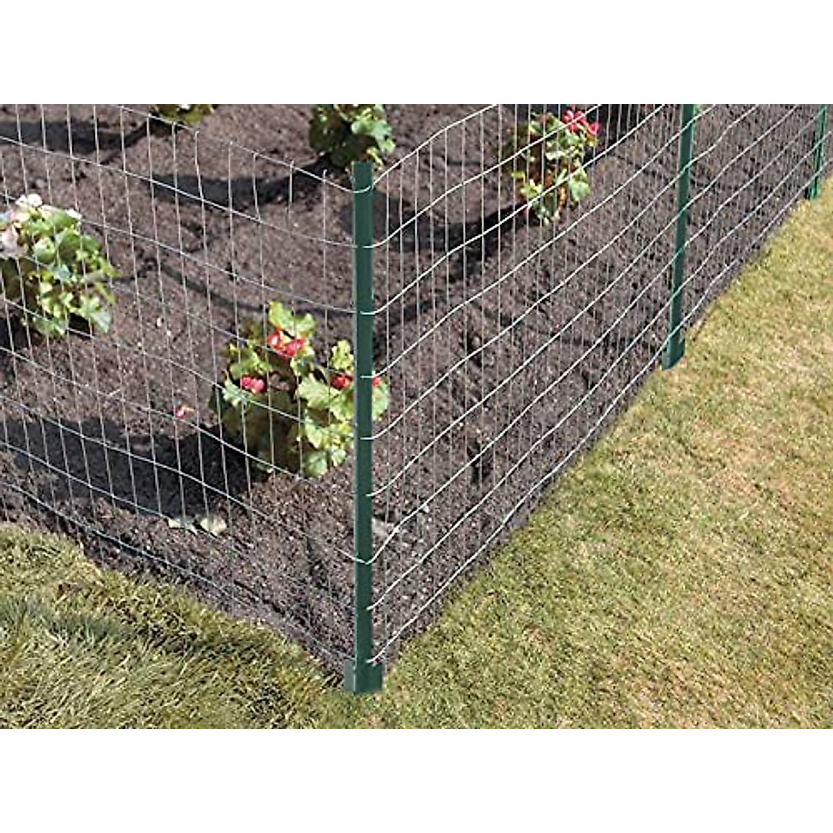 VASGOR 4 Feet Sturdy Duty Metal Fence Post – Garden U Post for Fencing - 10 Pack
