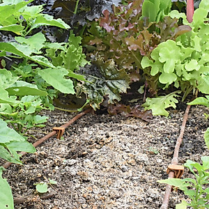 DIG ¼” 100’ MICROLINE™ Dripline - Enhanced 6” Emitter Spacing, UV-Resistant, Perfect for Diverse Garden Layouts (Brown) SHB106