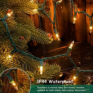 HEYFUNi Clear Christmas Lights 50Count 13Feet White Christmas Tree Lights Set, Incandescent Bulb Mini String Lights for Indoor Outdoor Tree Party Weeding Home Xmas Holiday Decorations,Green Wire