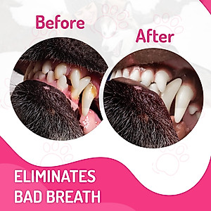 ROXXAM Dog Mouthwash: Advanced Dental Care Water Additive for Dogs | Keep Dog Breath Fresh and Teeth Clean | Supports Gum Health | Eliminates Bad Breath, Whitens Teeth, Prevents Cavities